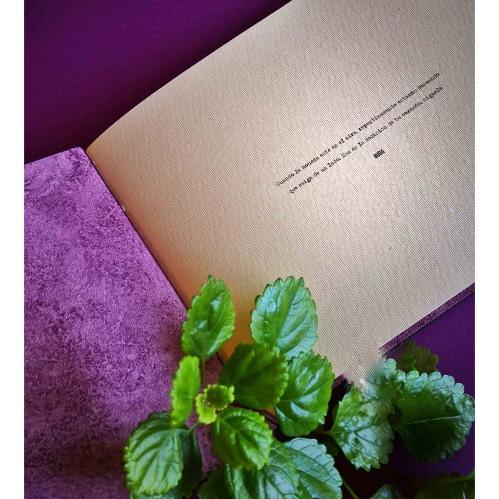 Ouro - Álbum de fotos 'Morado y Verde' hecho a mano